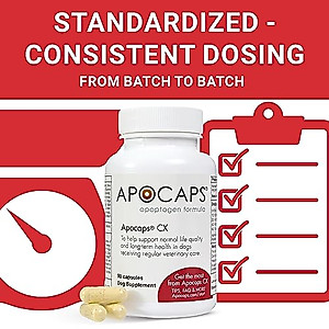 Apocaps CX Apoptogen Formula for Dogs (270 Capsules) - Supports Normal Levels of Apoptosis + Human Grade Ingredients Including Citrus Bioflavonoids, Silymarin, Curcumin and Turmeric + Biovadex