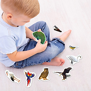 25 Fridge Magnets for Toddlers - Birds Photo Kids Magnets for Fridge - Toddler Magnets for Refrigerator - Magnetic Animals - Fridge Magnets for Kids - Animal Magnets - Toddler Fridge Magnets