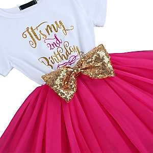 Girl Newborn It's My 1st/2nd Birthday Shinny Printed Tutu Princess Dress Outfit Set Rose (2 Years)