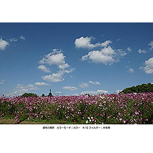 Kenko 55mm PRO1D R72 Digital-Multi-Coated Camera Lens Filters