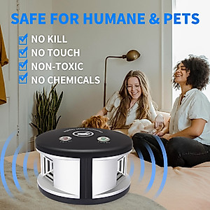 Careland Squirrel Repellent Rodent Repellent, 360°Mouse Ultrasonic Plug in Pressure Wave Pest Deterrent Control Chaser Squirrels Mouse Mice Rats and Other Rodents for Indoor Use Black-1,361N