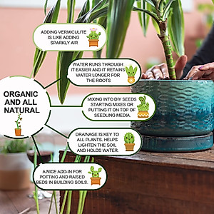 10QT Horticultural Vermiculite Bulk, Organic Vermiculite for Plants, Course Grade Vermiculite for Gardening, for houseplants, for Mushrooms, to Maintain Soil Moisture and Plant Growth(2-4mm)