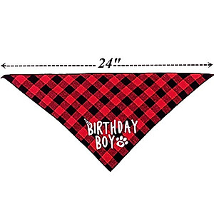 Birthday Boy Dog Bandana