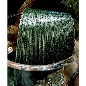 Richland Variegated Aspidistra Ti Leaf Floral Ribbon 4" x 50 Yards