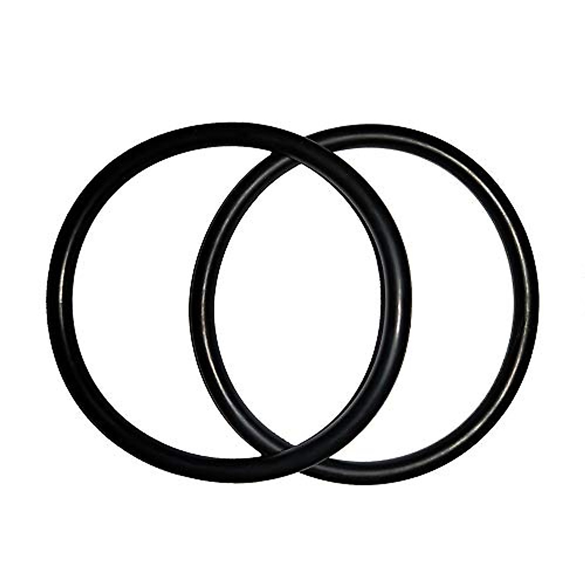 R172009 O-Ring For Pentair Model 300/320 Pool and Spa Chlorinator Lid (2/Pack)