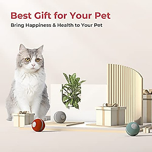 Cheerble Smart Interactive Cat Toy, Automatic Moving Bouncing Rolling Ball for Indoor Cat Kitten, Peppy Pet Ball with Lights and Bell, Red