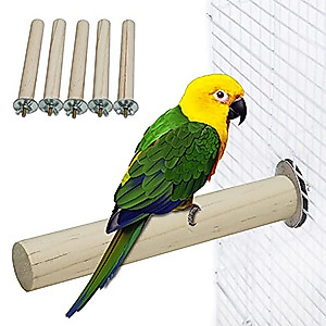 5 Pack EndearingTails Birdcage Stand (Natural Color), Natural Wood Perch Toys for Small Parrot, Like Parakeets, Lovebirds, Cockatiels