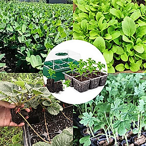 QHC KOCK Seed Starter Tray Seedling Tray (12 Cells Per Tray) Humidity Adjustable Plant Seed Starting Kit with Dome and Base Greenhouse Grow Trays for Plant Growing Starting 5 Packs Black