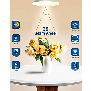 RAGFOZ Mr16 Halogen Bulb 50W, 6Pcs 50W 12V Halogen Light Bulbs 2 pin, GU5.3 Track Light Bulbs for Landscape Lights, Track Lights, Fiber Optics, Desk Lamps, Dimmable, 2700K Warm White