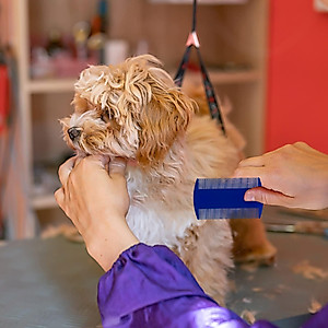 Jegtew 4 Pack Double sided Pet Combs,Fine Tooth Comb, Grooming Flea Tick Lice Dandruff Removal Fine Tooth Hair Combs for Cats Dogs Puppy