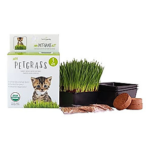 Handy Pantry Organic Cat Grass Kit - Includes 3 Trays, Soil Pucks, and 3 Packs Non GMO Wheatgrass Seed - A Healthy Treat For Cats, Dogs, Rabbits, More