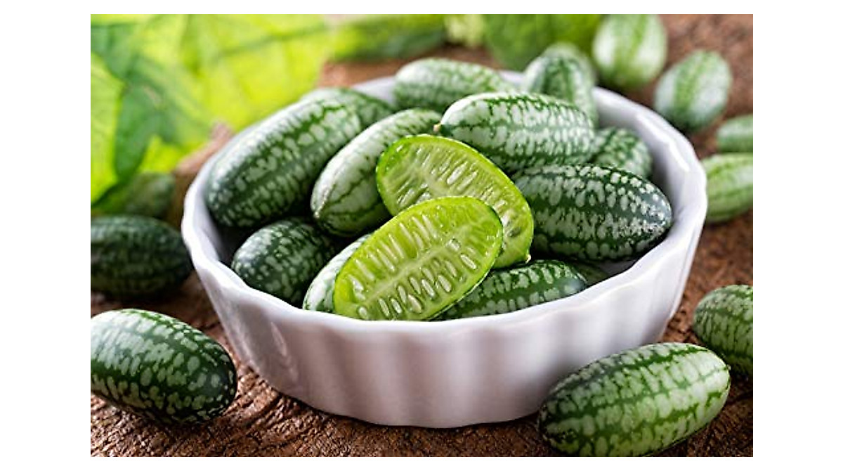 Grow Rare Mouse Melon Seeds - Unique Sour Cucumber Flavor