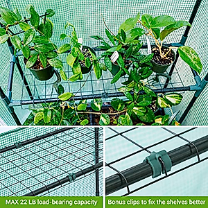 Ohuhu Greenhouse for Outdoors with Mesh Side Windows, 3 Tiers 4 Shelves Small Walk-In Green House Plant Stands Plastic PE Cover Outside Portable Warm House for Seedling Flowers Growing, 4.8x2.5x6.4 FT