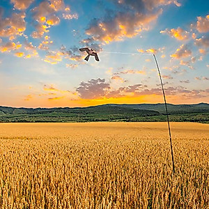 eyijklzo Bird Scarer Flying Kite Crops Farm Flying Bird Hawk Flying Kite with 4m Telescopic Pole