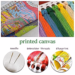 Dimensean Cross Stitch Kits, Stamped Cross Stitch Kits for Adults Beginners,Full Range of Cross-Stitch Stamped Kits Needlecrafts Embroidery Kits 11CT-Auspicious Peacock 31.5x47.2 inch