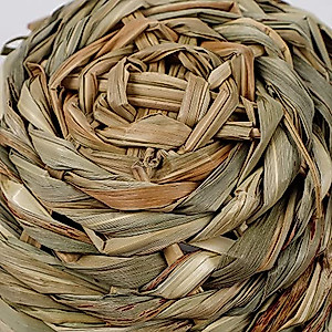 winemana 4 Pack Hanging Hummingbird Nest House for Outside, Ball Shape, Hand Woven, Durable Sturdy, Made of Natural Grass, Perfect for Garden Patio Lawn Office Indoor