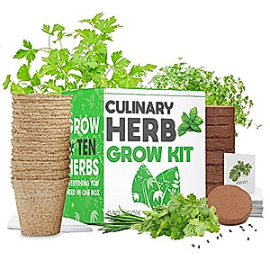 Herb Garden Indoor Herb Garden Starter Kit Easily Grow 10 Herbs Seeds - Indoor Herb Planters - Herb Garden Growing Kit - Grow Basil, Cilantro, Chives, Arugula and More - Gardening Gifts