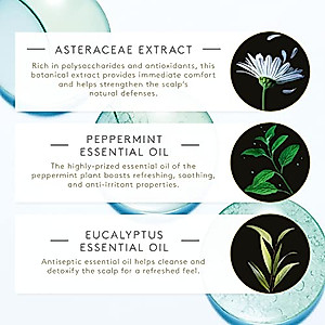 Rene Furterer Head Spa ASTERA Soothing Concentrate, Pre-Shampoo Soothing Scalp Treatment, - Soothe Sensitive Scalps - Mint & Eucalyptus - Paraben & Silicone-Free - 1.6 oz.