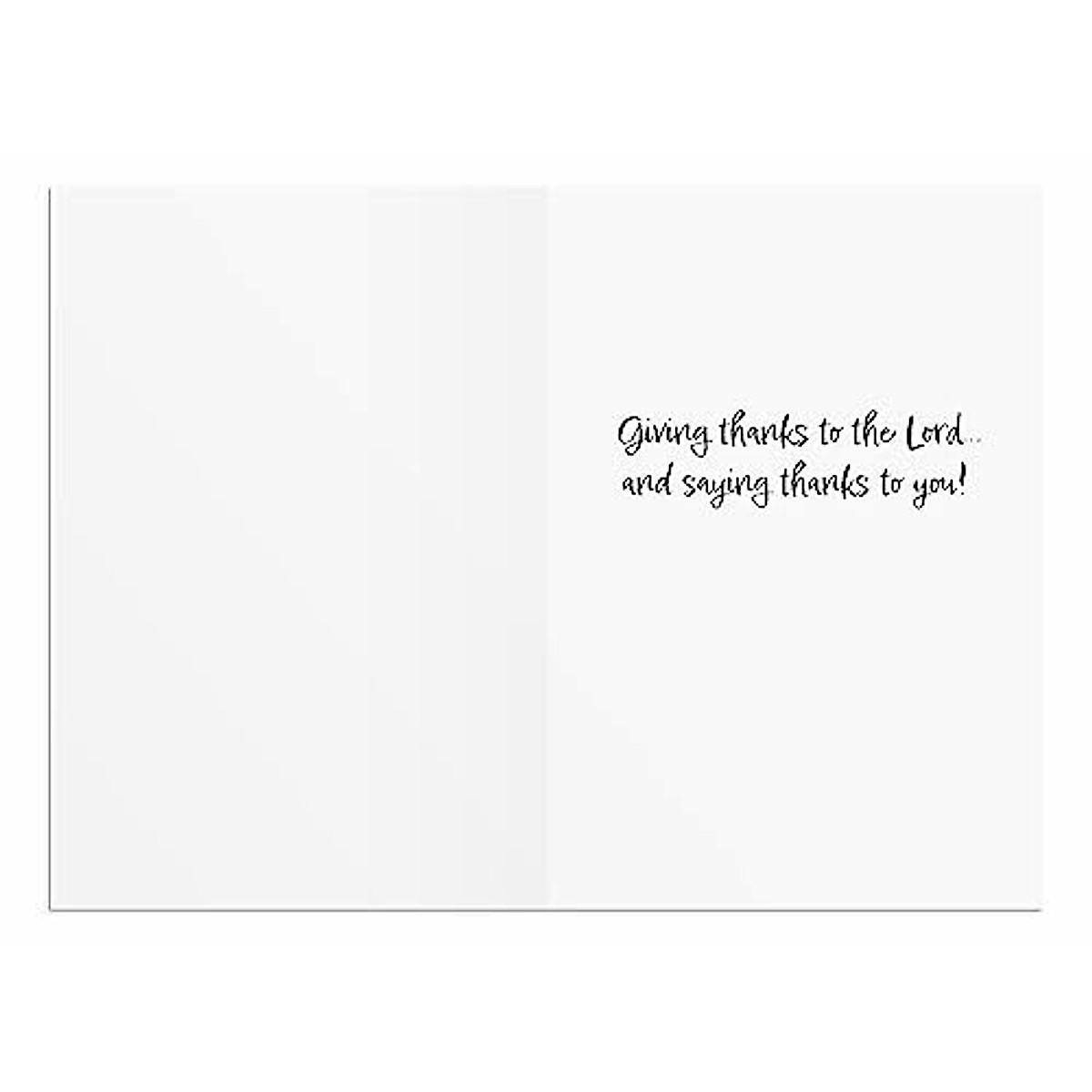 DaySpring - We Give Thanks - 4 Nature Design Assortment with Scripture - King James Version - 12 Thank You Boxed Cards & Envelopes (U0061)