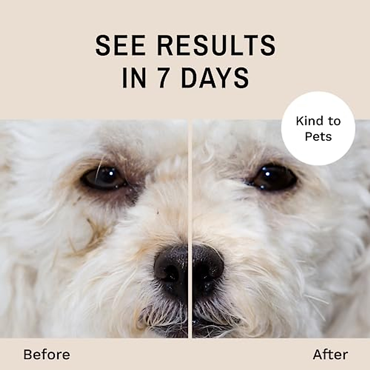 Eye Envy Dog Tear Stain Remover Starter Kit | Tear Stain Essentials in one kit at a 2-Step System | Lasts 30-45 Days | Solution 2 fl.oz, Applicator Pads 30 Count and Powder 0.5oz