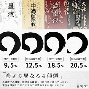 Sumiundo 12010 Ink Juice Genshu Super Dark Ink Liquid for Works, 0.6 gal (2 L)