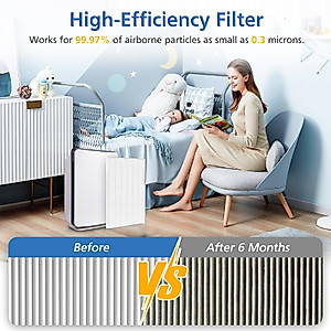 2 Pack D480 True HEPA Replacement Filter D4 Compatible with Winix D480, H13 Grade True HEPA Filter