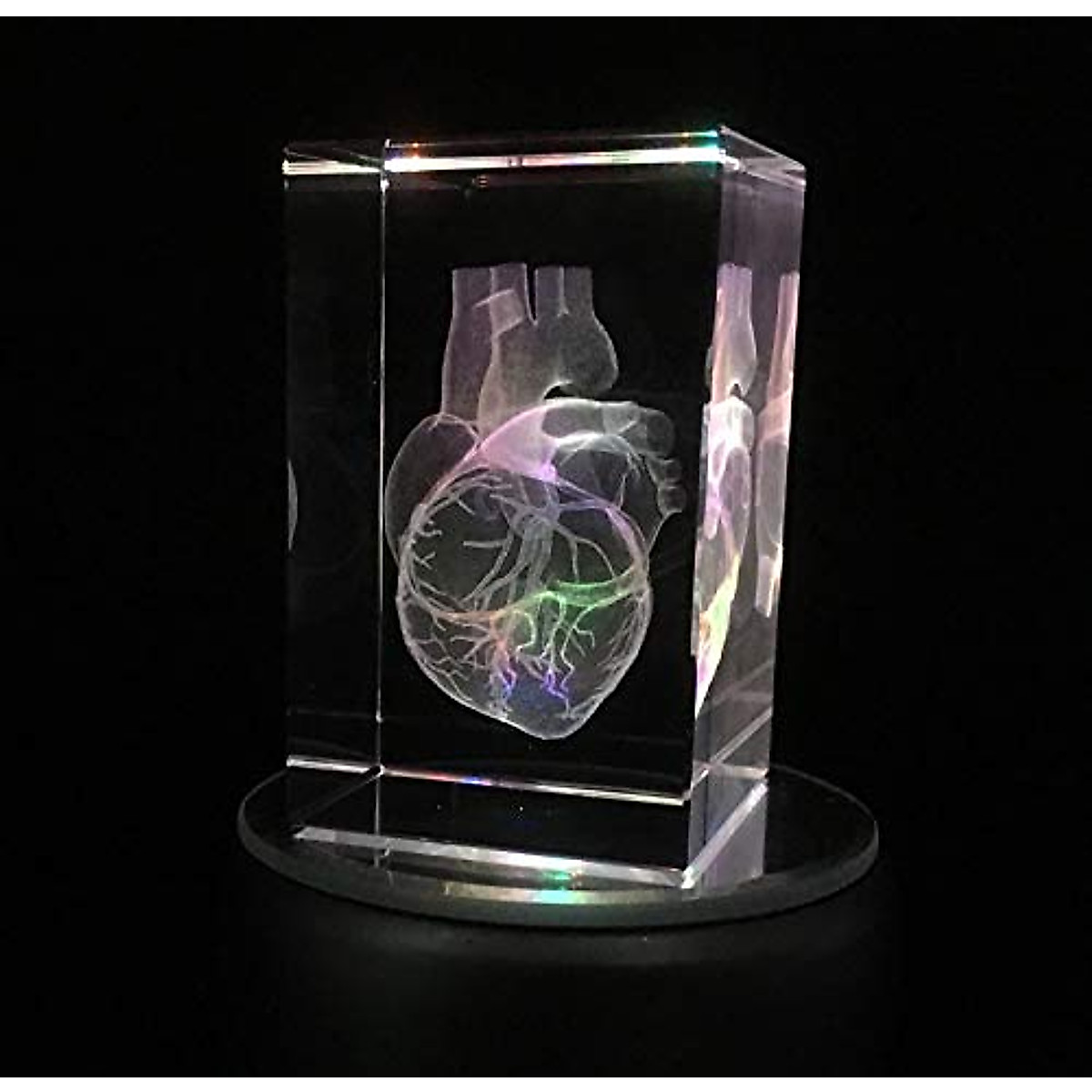 3D Human Heart Anatomical Model Paperweight(Laser Etched) in Crystal Glass Cube Science Gift (No Included LED Base)(3.1x2x2 inch)