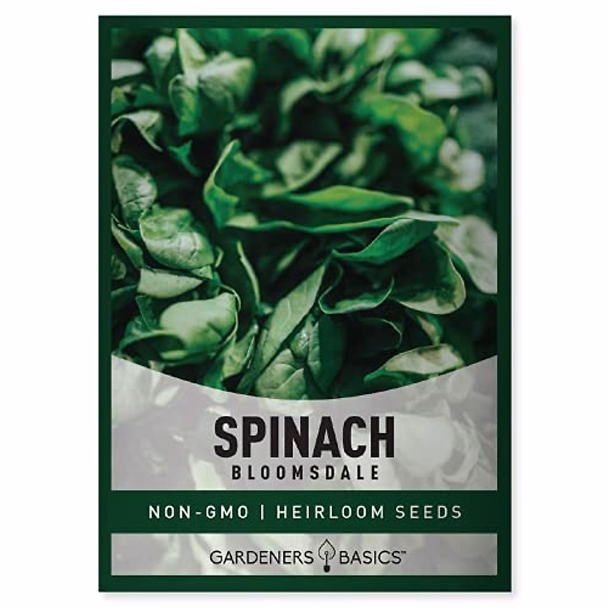 Bloomsdale Spinach Seeds for Planting is A Great Heirloom, Non-GMO Vegetable Variety- Great for Indoor, Outdoor and Hydroponics Gardening by Gardeners Basics