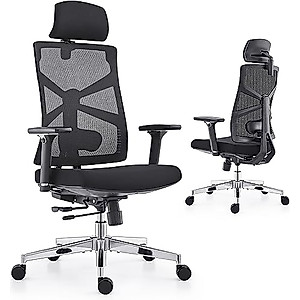 HOLLUDLE Ergonomic Office Chair with Adaptive Backrest, High Back Computer Desk Chair with 4D Armrests, Adjustable Seat Depth, Lumbar Support and 2D Headrest, Swivel Task Chair, Black