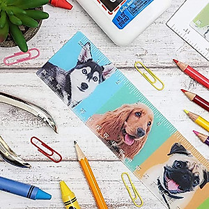 Dog 3D Plastic Rulers for Kids (3 Designs, 12 Pack)