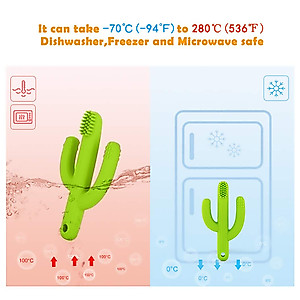 Cactus Teether, Baby Teething Toys for Babies 0-6 Months 6-12 Months, Self-Soothing Pain Relief Soft Baby Toothbrush for Babies, Toddlers, Infants, Boy and Girl, Natural Organic BPA Free(Green)