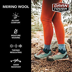 Darn Tough Women's Treeline Micro Crew Midweight with Cushion Hiking Sock (Style 1971) - Blue, Small