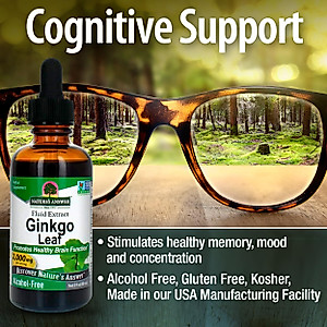 Nature's Answer Alcohol-Free Ginkgo Leaf 2000mg 2oz Extract | Stimulates Memory, Mood & Concentration | Gluten-Free, Kosher Certified & No Preservatives | Single Count