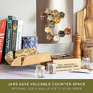 Gneiss Spice Basic Kit | 12 Magnetic Spice Jars Filled With Organic Seasonings (Small Jars)…