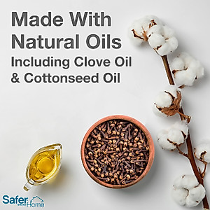 Safer Brand Safer Home SH111 Indoor Ant, Roach, Spider, Fly, Silverfish & Flea Killer Spray – CFC Free Aerosol Made with Natural Oils – 13.25 oz, 13.25 Ounce (Pack of 1), Blue