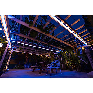 WYZworks 10ft Blue LED Outside Rope Light - 8 Modes, Waterproof Permanent Outdoor Accent Lighting w/Remote, Flexible Clear Tube, ETL Certified, Exterior Christmas Patio Palm Tree Yard Ambient