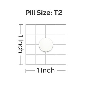 Puritan's Pride Ginkgo Biloba Standardized Extract Nootropic 60 Mg Softgels, 120 Count