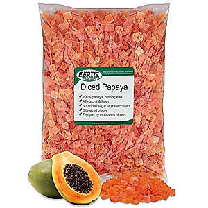 Exotic Nutrition Papaya Treat 1/2 LB - Healthy Natural Dried Fruit Treat - Sugar Gliders, Rats, Parrots, Hamsters, Squirrels