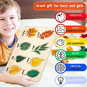 2 Pack Leaf Wooden Jigsaw Puzzles Preschool Puzzles Leaf Puzzle Montessori Toy Educational Plant Puzzle Leaf Shape Early Educational Learning Puzzle for Birthday Gift School Games