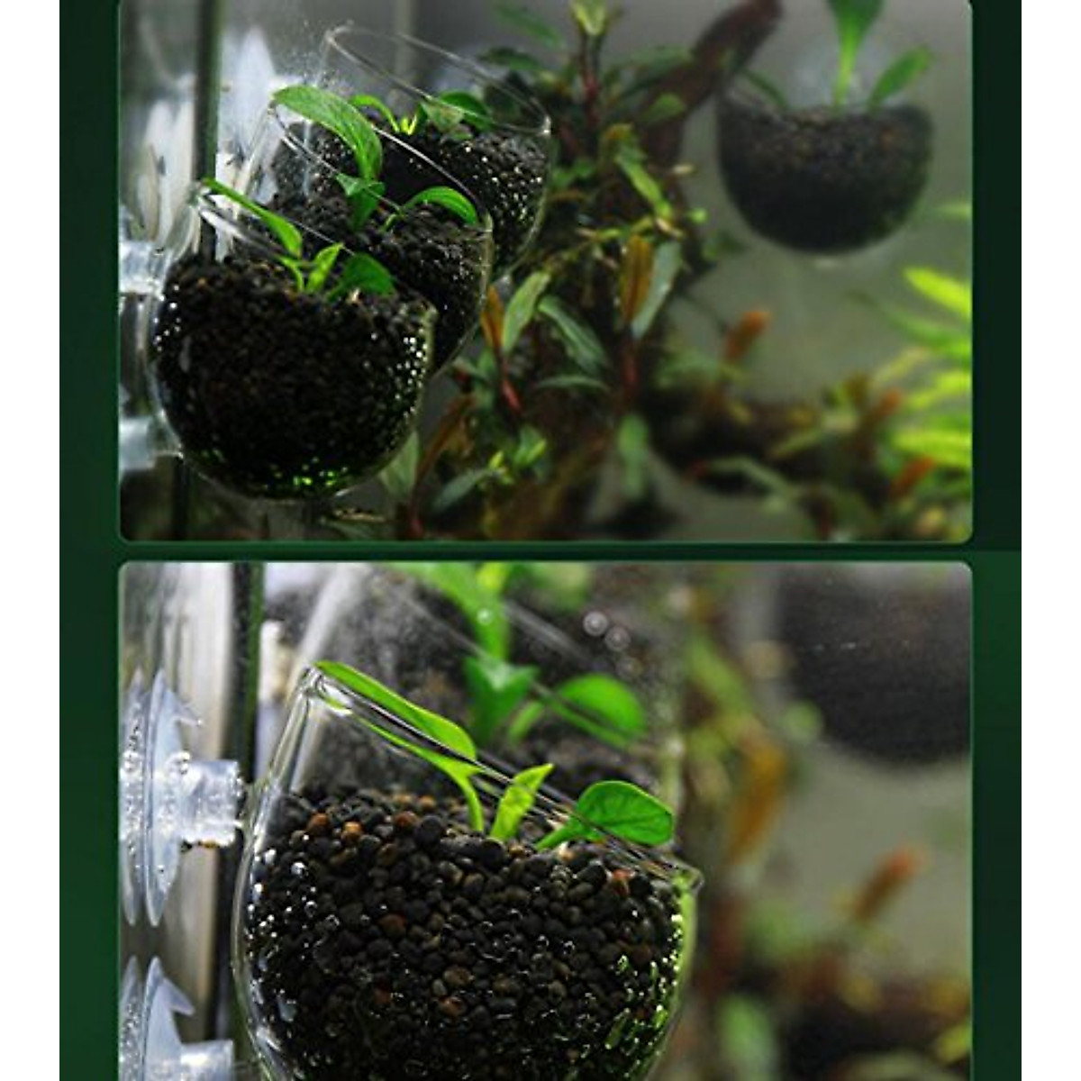 Tfwadmx Plant Pot Aquarium Decor Aquatic Plant Cup with 2 Suction Cup for Fish Tank Aquarium Aquascape(2 Pack)