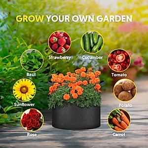 iPower 12-Pack 5 Gallon Grow Bags Heavy Duty Thickened Aeration Nonwoven Fabric Pots with Nylon Handles, for Planting Vegetables, Fruits, Flowers, Black