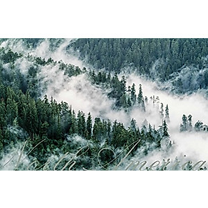 Trees: Between Earth and Heaven