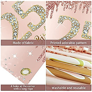 Happy 25th Birthday Banner Backdrop Decorations for Women, Rose Gold 25 Birthday Party Sign Supplies, Pink 25 Year Old Birthday Poster Background Photo Booth Props Decor