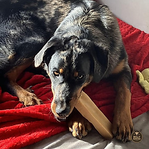 Bully Bunches Mega Authentic Yak Cheese Himalayan Chews for Giant Dogs & Super Aggressive Chewers - All Natural Dog Treat Dental Chews, Made with Real Yak Milk - Lactose & Rawhide Free (2 PK)