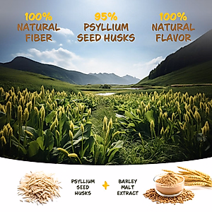 Vegan Fiber Capsules for Cats Digestive Supplement, Ovatasyl 500 mg Psyllium Seed Husks, Constipation, Hairballs, Pet Essentials & Wellbeing, 100 Vegan Capsules