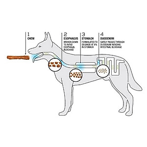 TRURANCH All-Natural Rawhide Alternative Dog Treats, 5" Sticks (Beef), with Hydrolyzed Collagen 50% Protein, Healthy Treats, Limited Ingredients Dog Chew, for Small, Medium, and Large Dogs