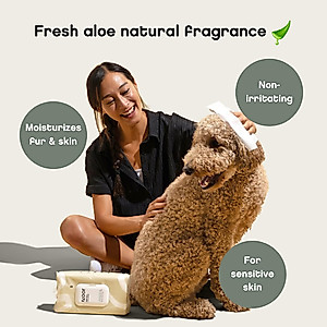 Hypoallergenic Renewing Dog Wipes - Grooming Natural Fresh Aloe Wipes for Paws, Face, Skin, Eyes, Ears, Butt - Perfect for Puppy & Adult Dogs - Vet Dermatologist Formulated - Extra Thick (72 Count)