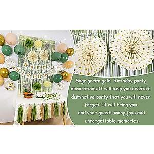 Sage Green Birthday Party Decorations with Happy Birthday Banner Olive Green Gold Balloons Fringe Curtain for Girls Women Baby Shower Birthday Decor