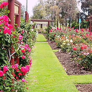 40 Pcs Garden Landscape Anchoring Stakes,10 Inches Yard Stakes for Terrace Boards, Weed Fabric, Garden Inflatable Decor Fixing