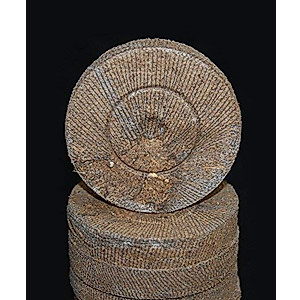 Jiffy 200 Count 30 mm Peat Pellets